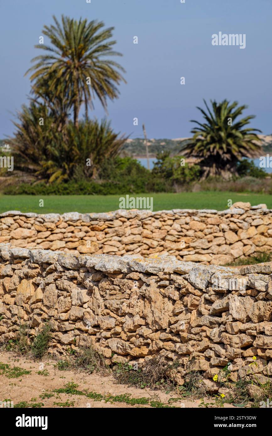 Traditional stone walls for agricultural land Stock Photo - Alamy