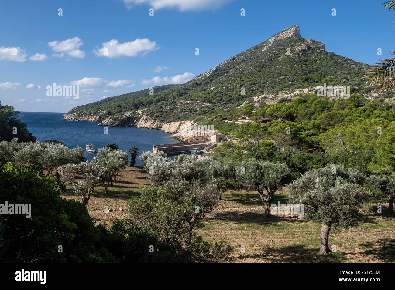 Olive island conservation park hi-res stock photography and images - Alamy