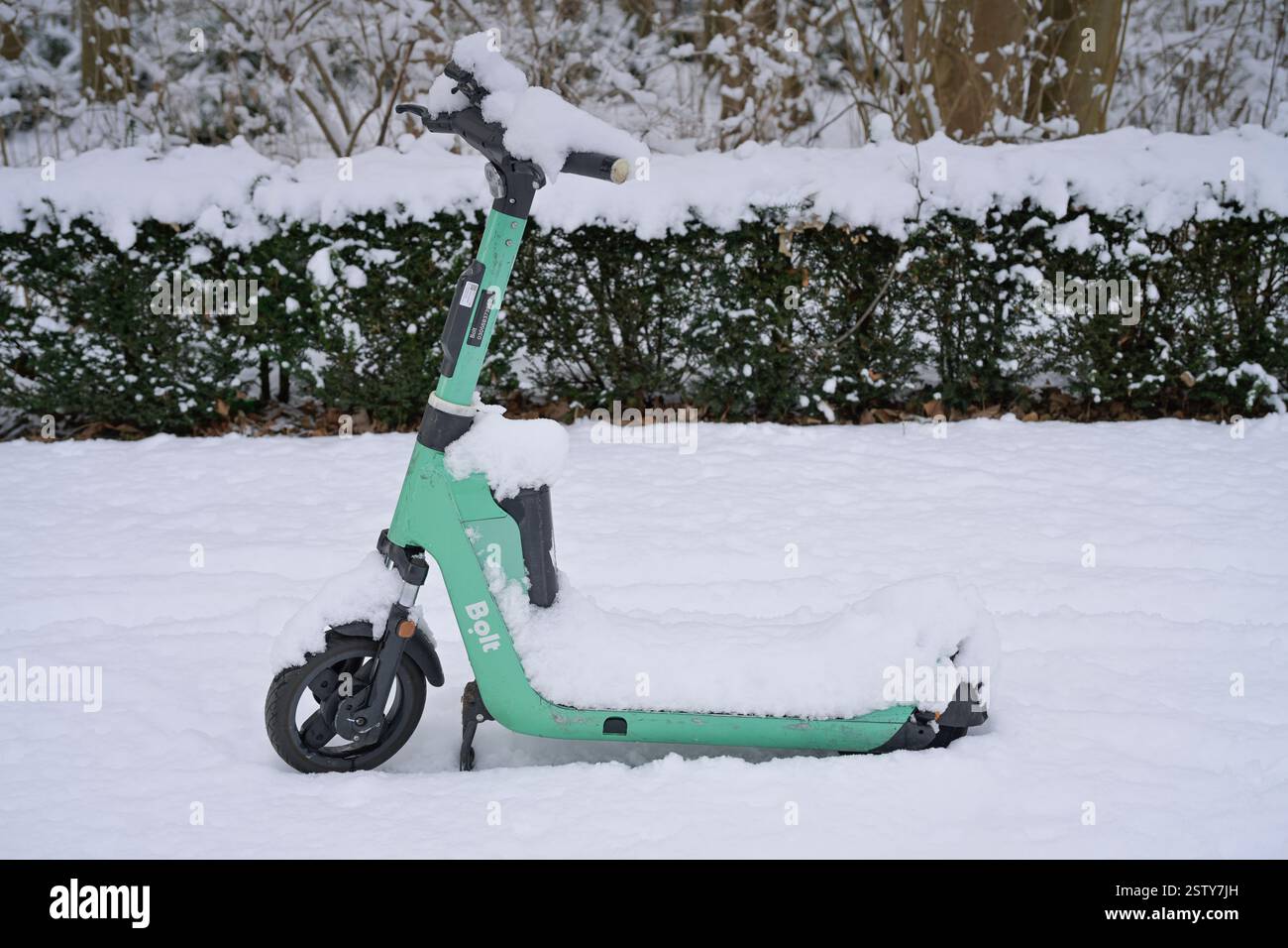 Scooter von Bolt im Schnee, Tiergarten, Berlin, Deutschland Stock Photo ...