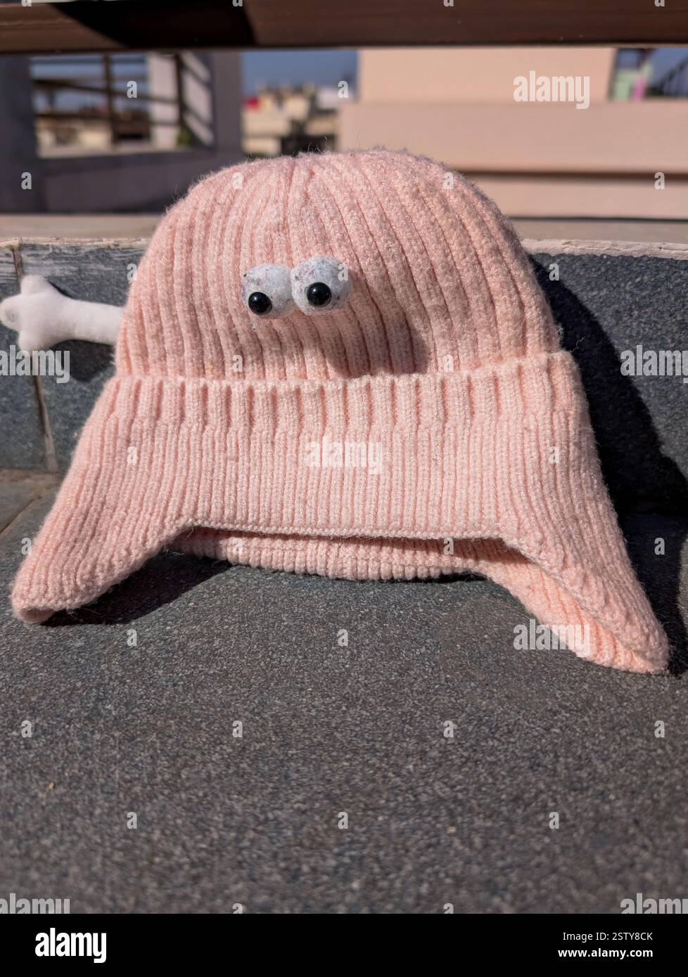 beautiful and cute baby warm cap with cartoon character eyes on it ...
