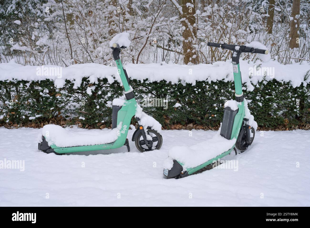 Scooter von Bolt im Schnee, Tiergarten, Berlin, Deutschland Stock Photo ...