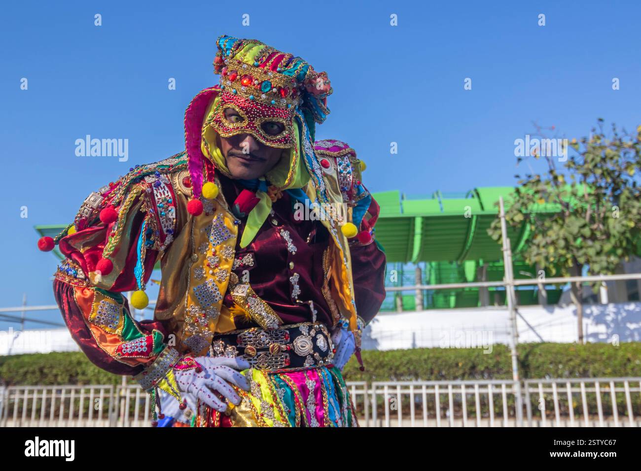 Harlequin costume hi-res stock photography and images - Alamy