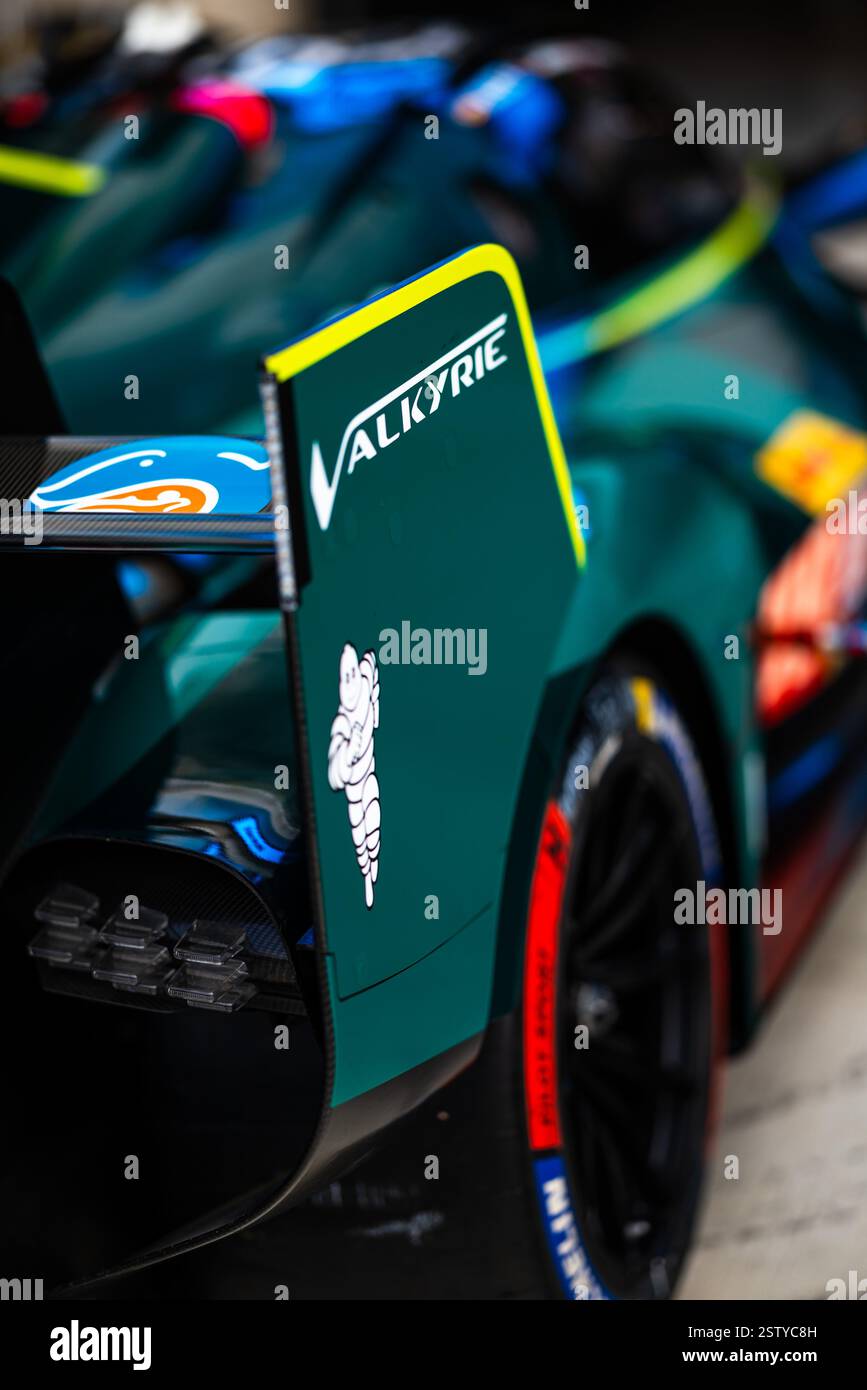 009 RIBERAS Alex (spa), SORENSEN Marco (dnk), DE ANGELIS Roman (can), Aston Martin THOR Team ...