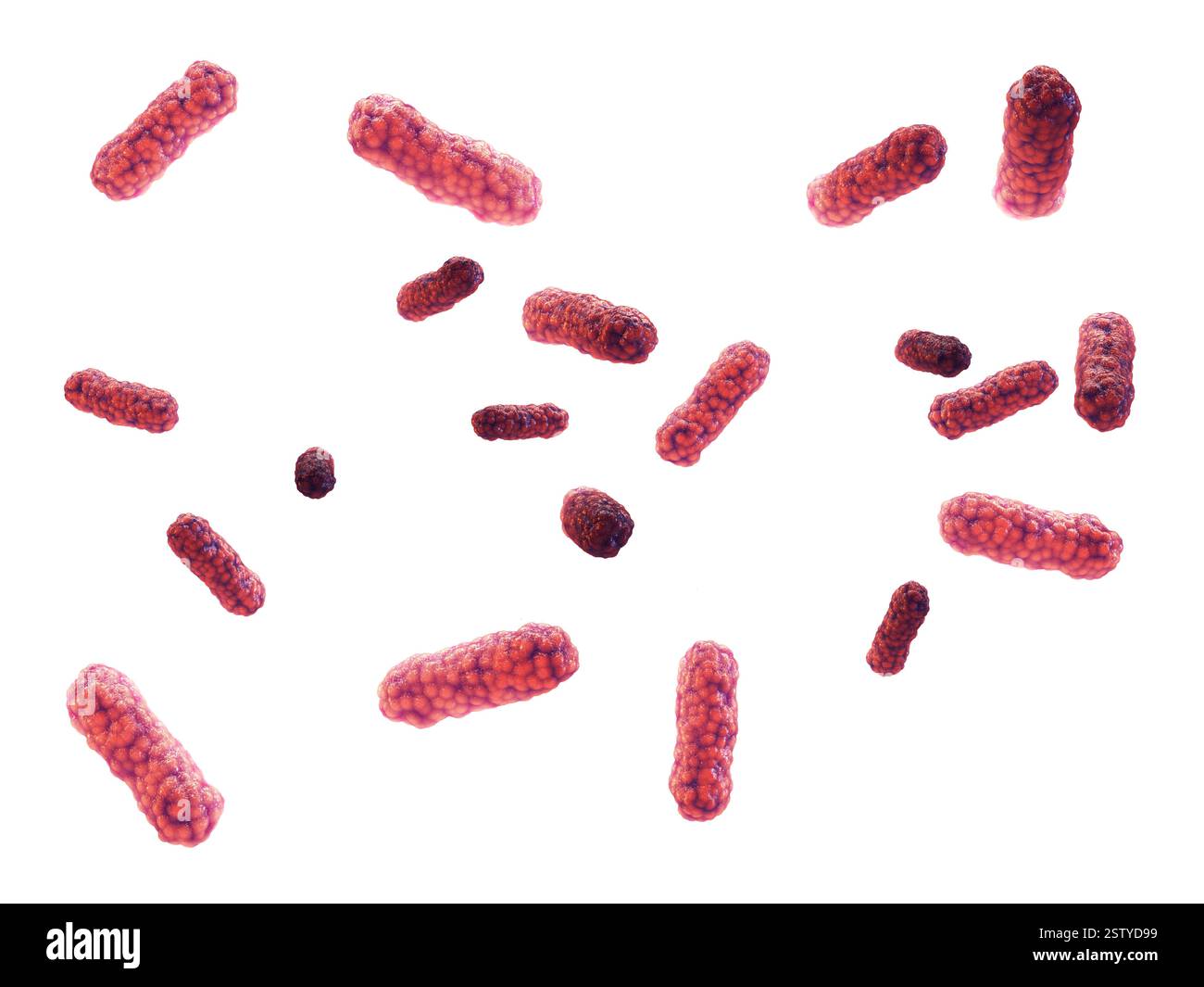Red intestinal bacteria ( Salmonella ) isolated on white. Bacterial gut ...