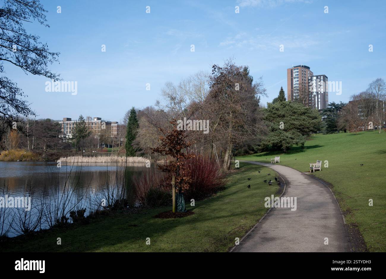 The Vale, Birmingham University, Edgbaston, Birmingham, UK Stock Photo ...