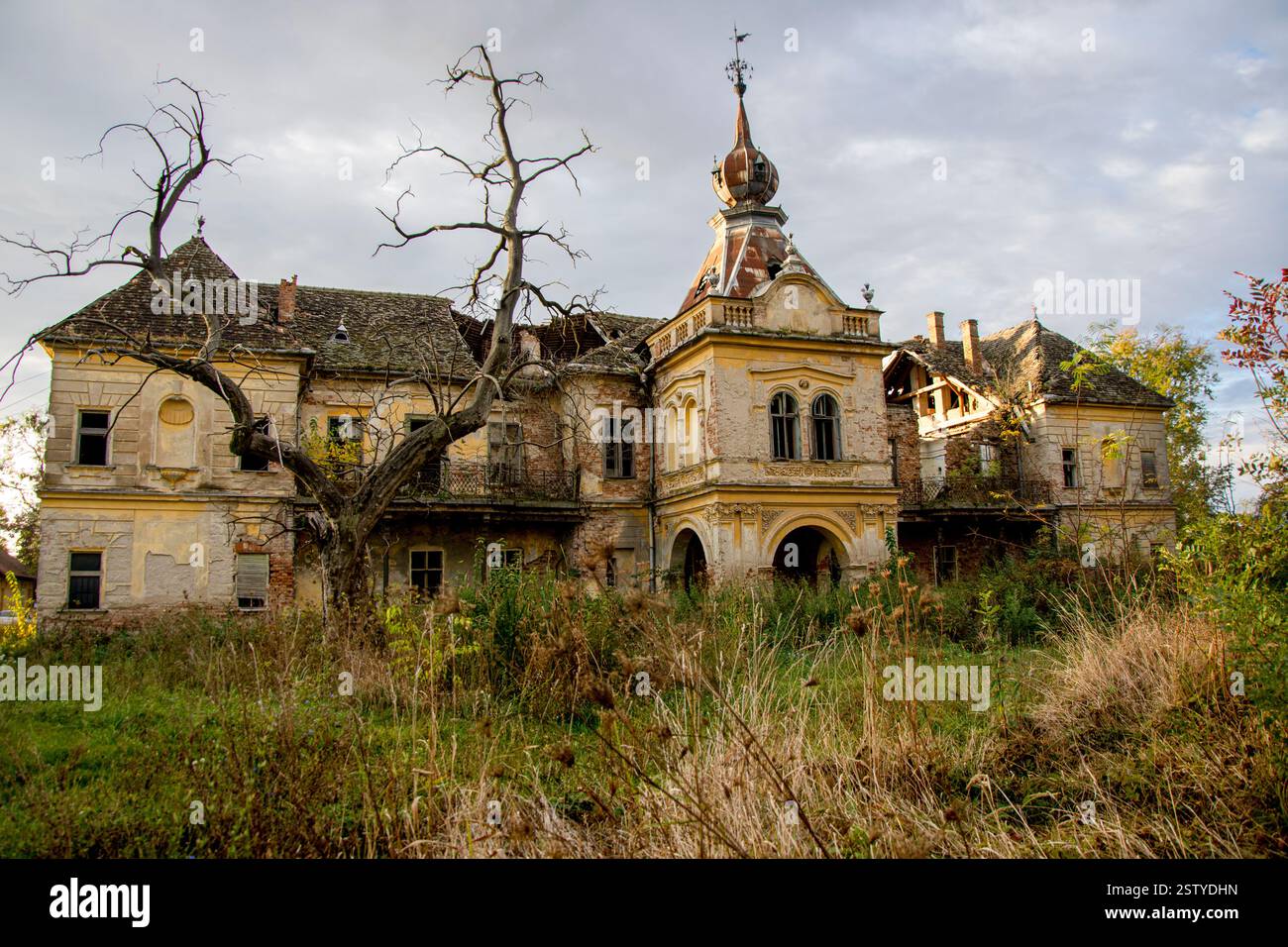 Old abandoned manor house with a dead tree in front Stock Photo - Alamy