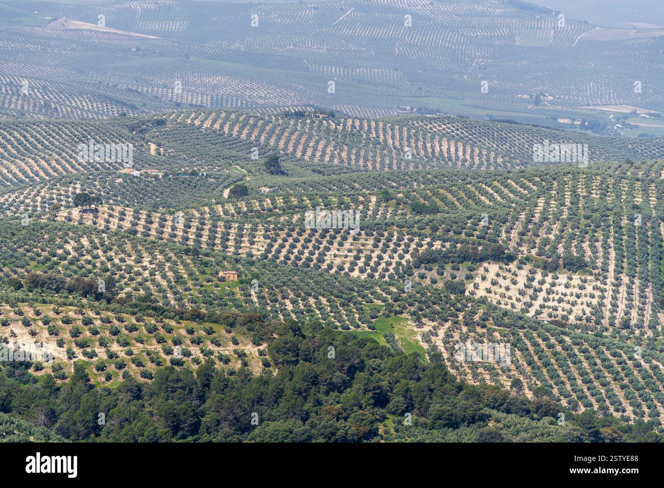 Natural Route Greenway of Oil Stock Photo - Alamy