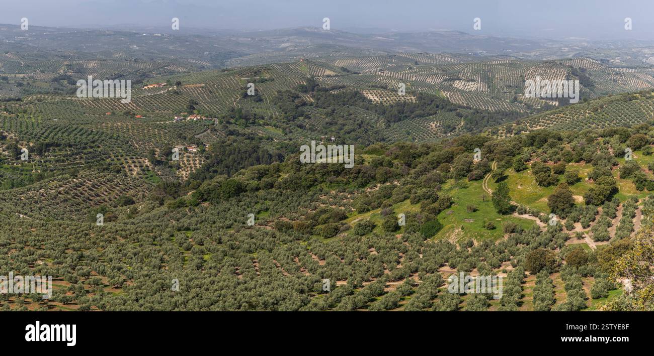 Natural Route Greenway of Oil Stock Photo - Alamy