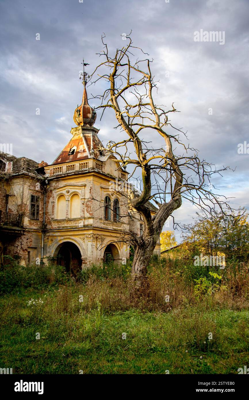 Abandoned ruined manor mansion house hi-res stock photography and ...