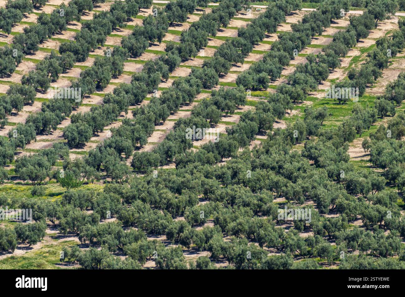 Natural Route Greenway of Oil Stock Photo - Alamy