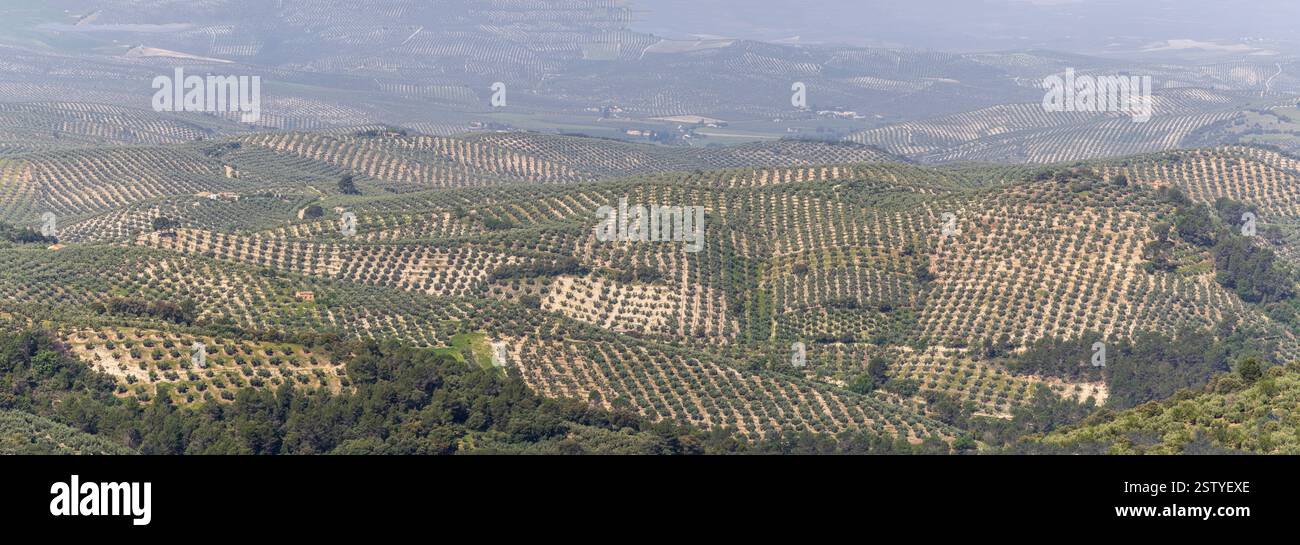 Natural Route Greenway of Oil Stock Photo - Alamy