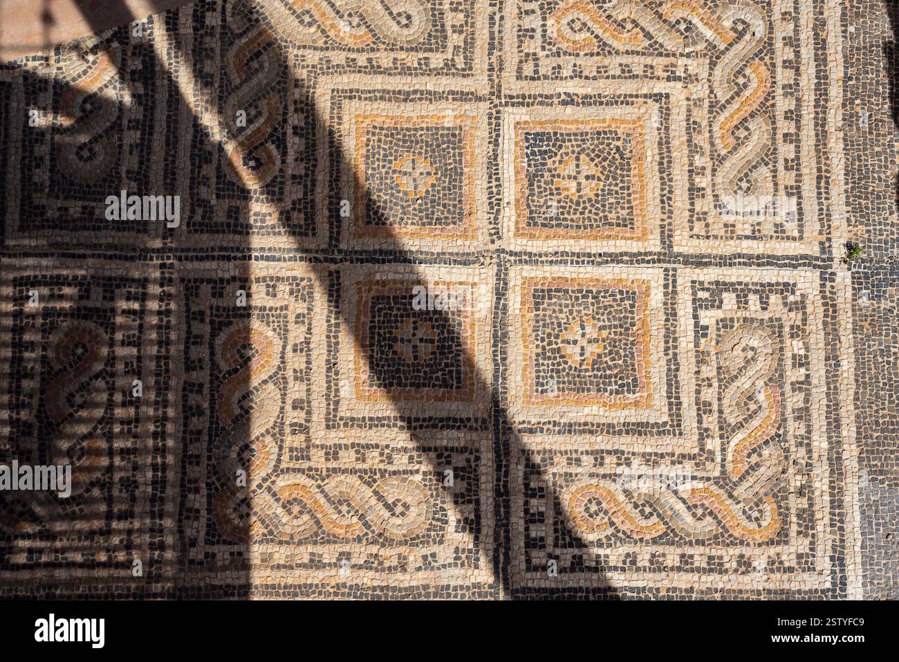 Ancient rome mosaic Stock Photo - Alamy