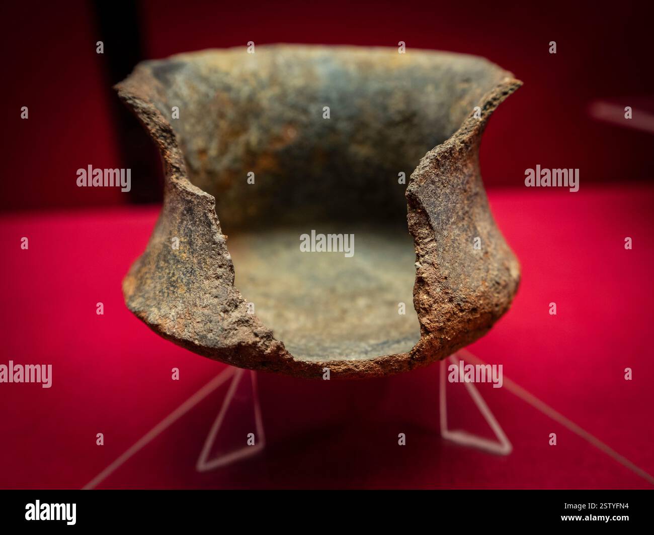 Carinated hi-res stock photography and images - Alamy