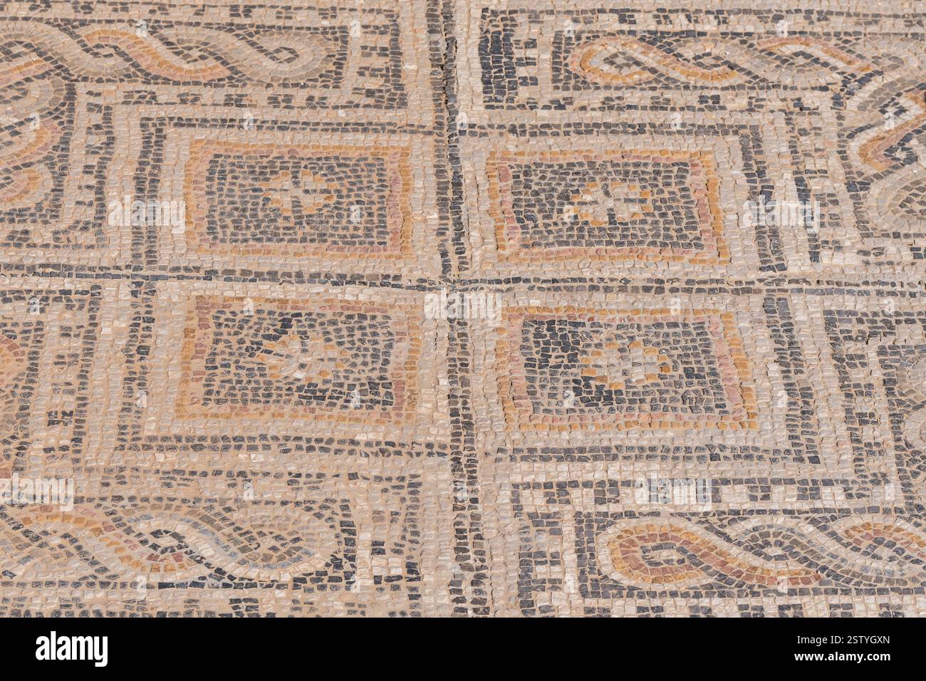 Ancient rome mosaic Stock Photo - Alamy