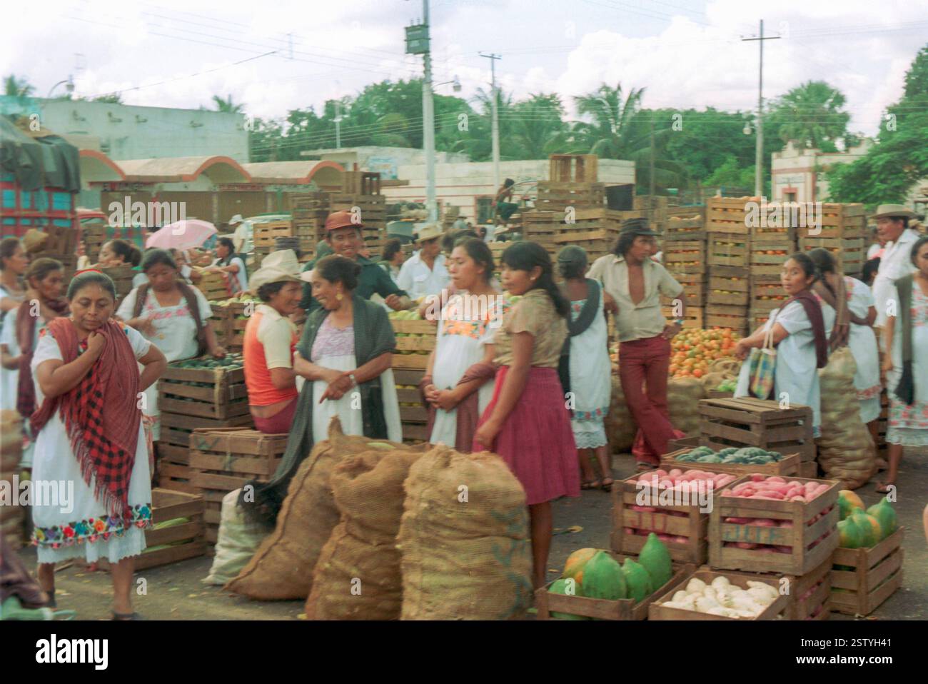 outside market , street scene in Merida city, Merida, Yucatan, Mexico ...
