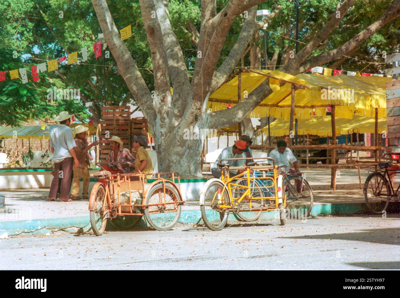 fruit stand in Park in Merida city, Merida, Yucatan, Mexico 1985 ...