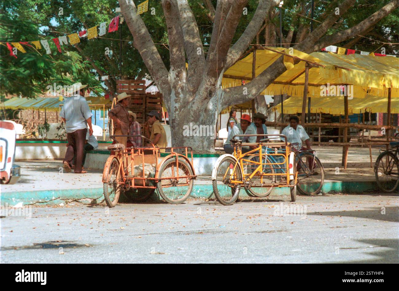 fruit stand in Park in Merida city, Merida, Yucatan, Mexico 1985 ...