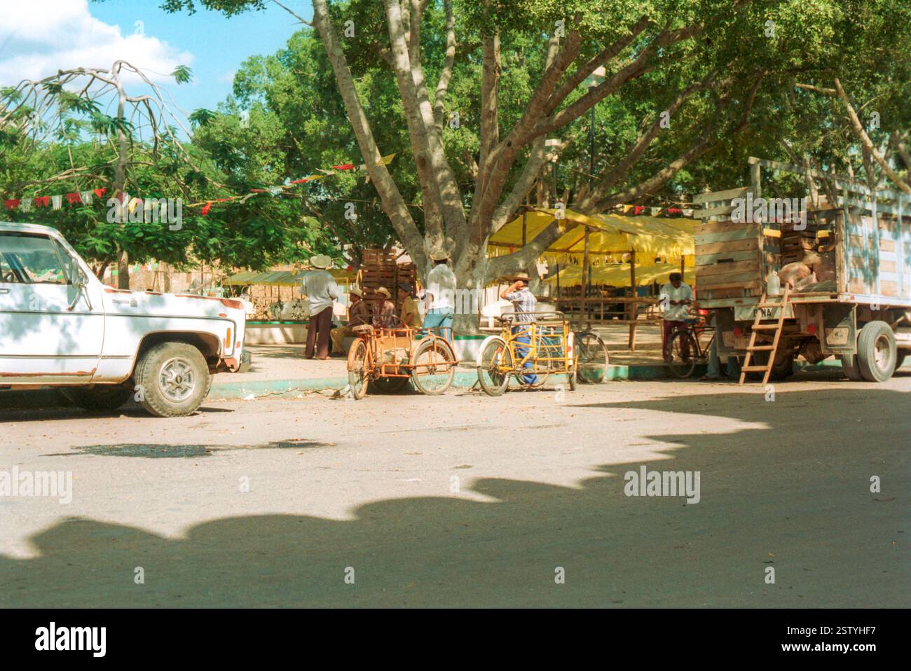 street scene near park with stands in Merida city, Merida, Yucatan ...