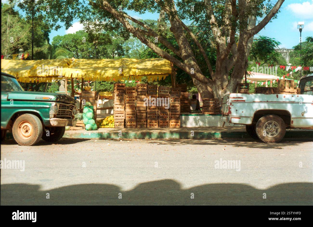 fruit stand in Park in Merida city, Merida, Yucatan, Mexico 1985 ...