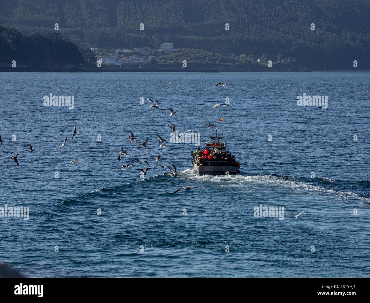 Fishing boat in front of the port of Bares Stock Photo - Alamy