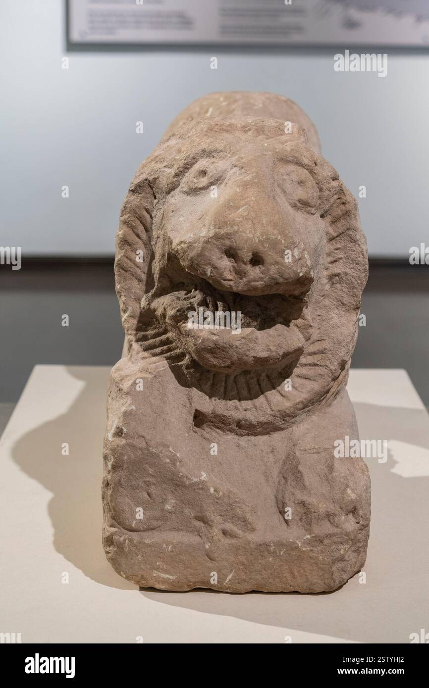 Iberian lion hi-res stock photography and images - Alamy