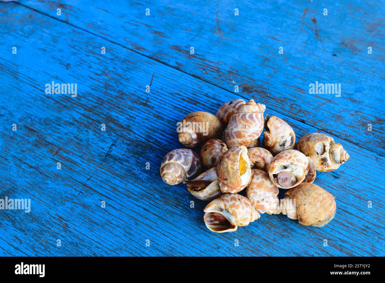 Baked snails on blue wood table Stock Photo - Alamy