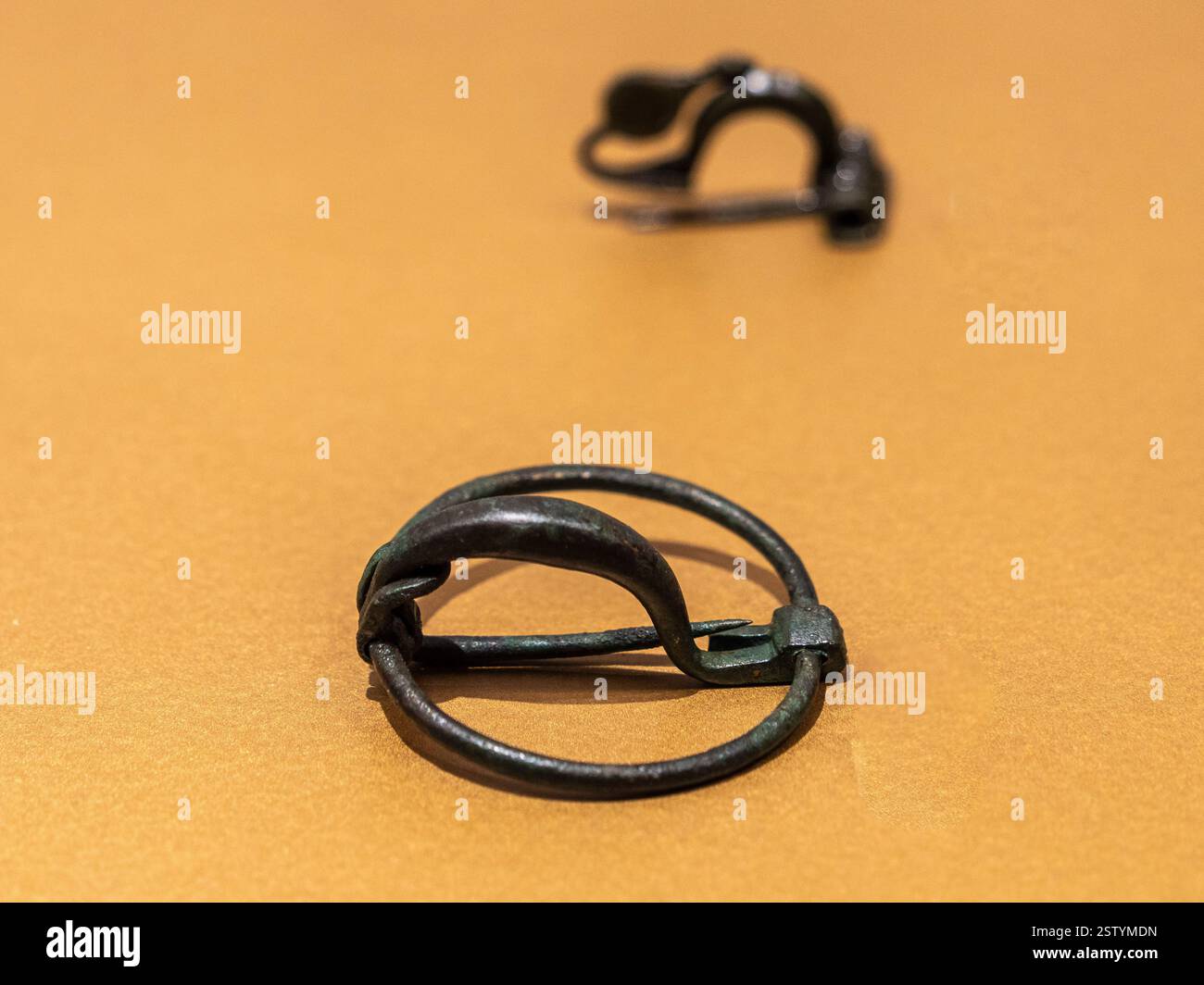 Fibula hi-res stock photography and images - Alamy