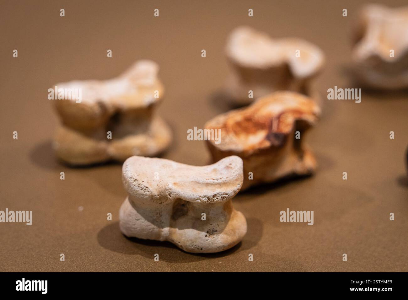bone boards used for playing, Necropolis of Piquía, Arjona, 5th-1st ...