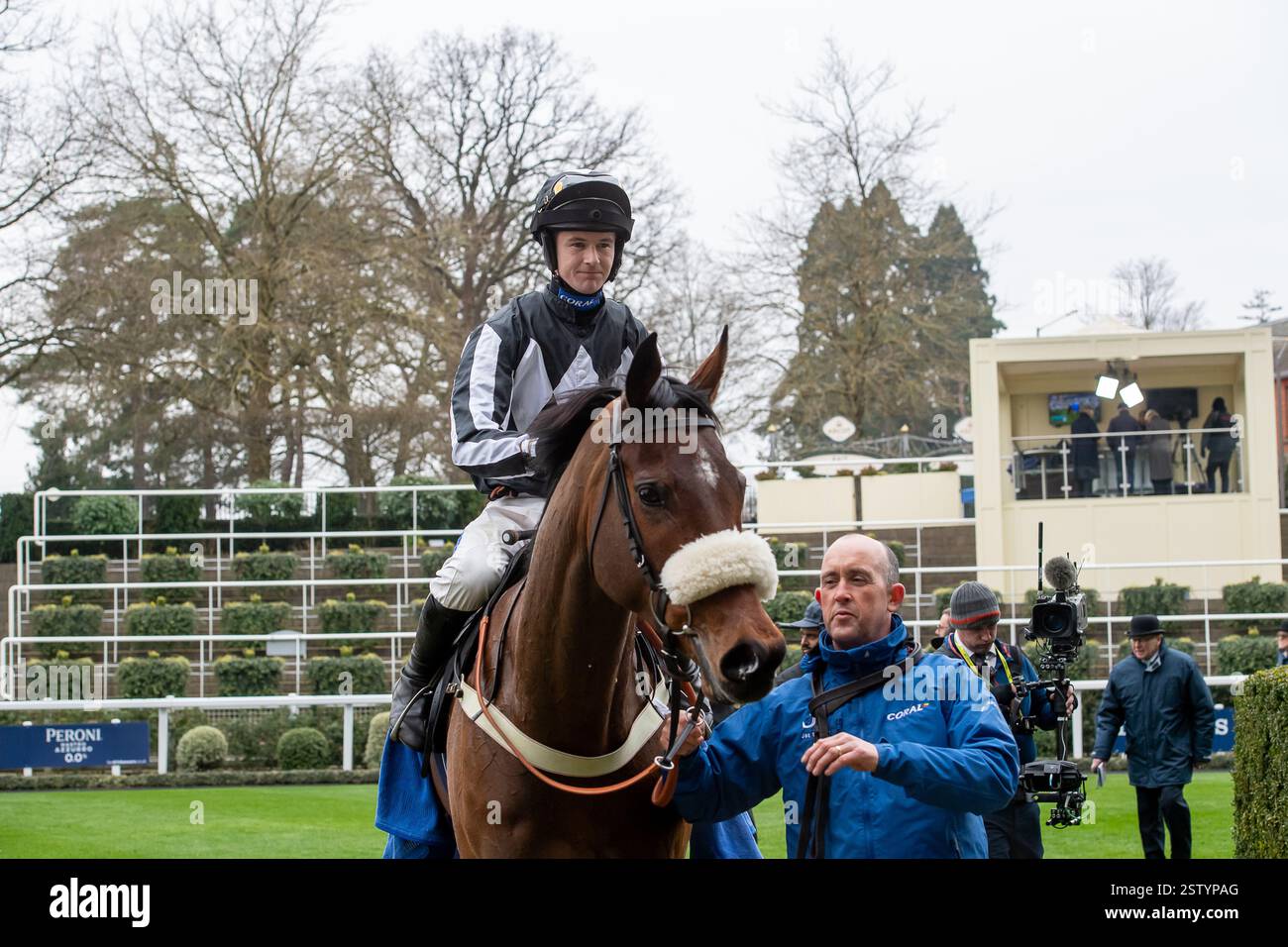 Ascot, Berkshire, UK. 15th February, 2025. Horse THE CHANGING MAN ...