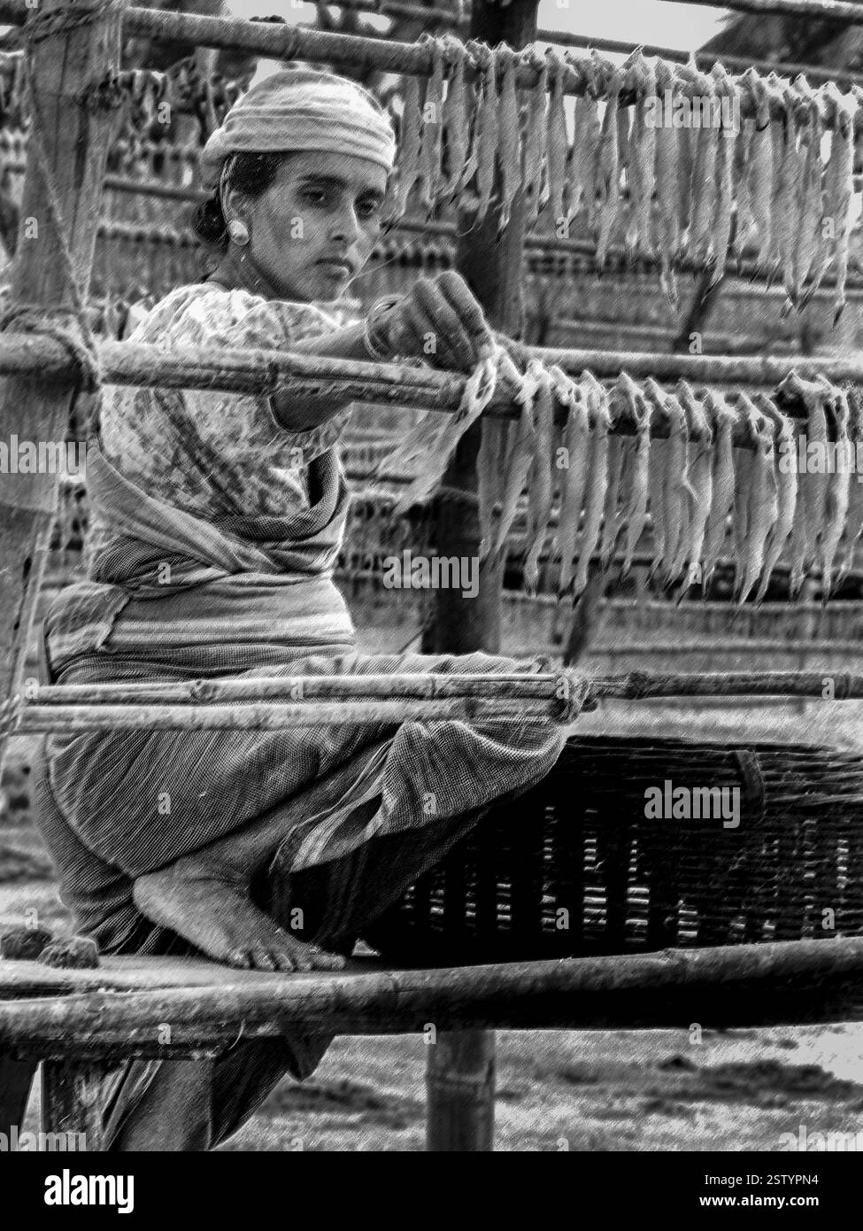 Vintage Old Black and White Photo of a Fisherman Woman Drying Fish on ...