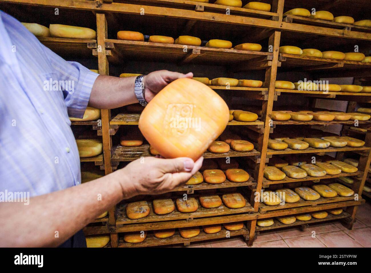 Holding hands a cheese Stock Photo - Alamy