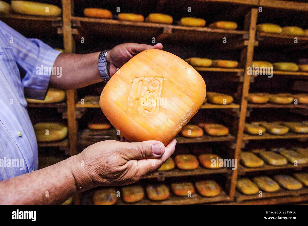 Cheese resources hi-res stock photography and images - Alamy