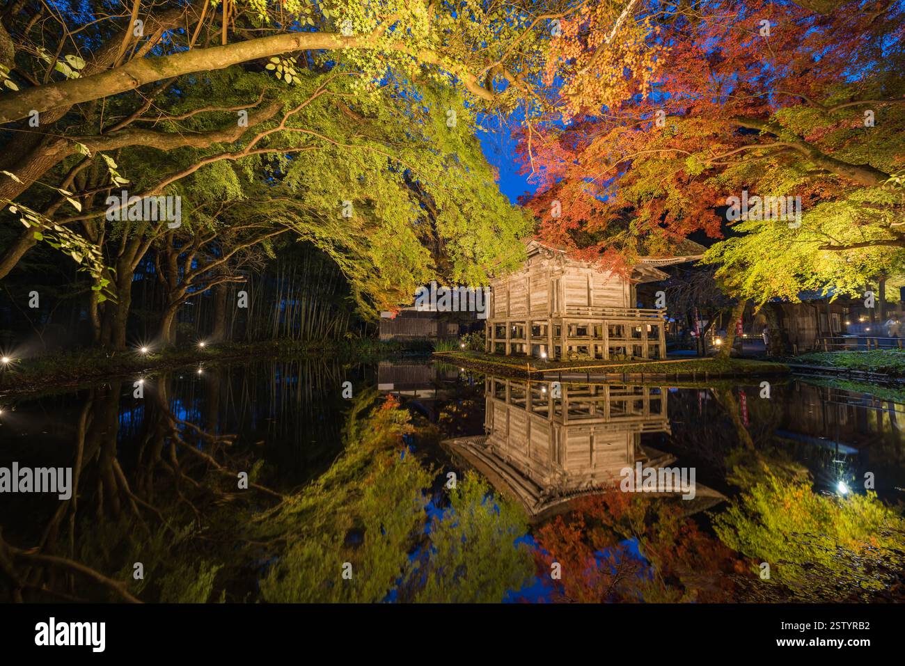 Autumn leaves reflected in the lighted Benzaido and pond of Chuson-ji ...
