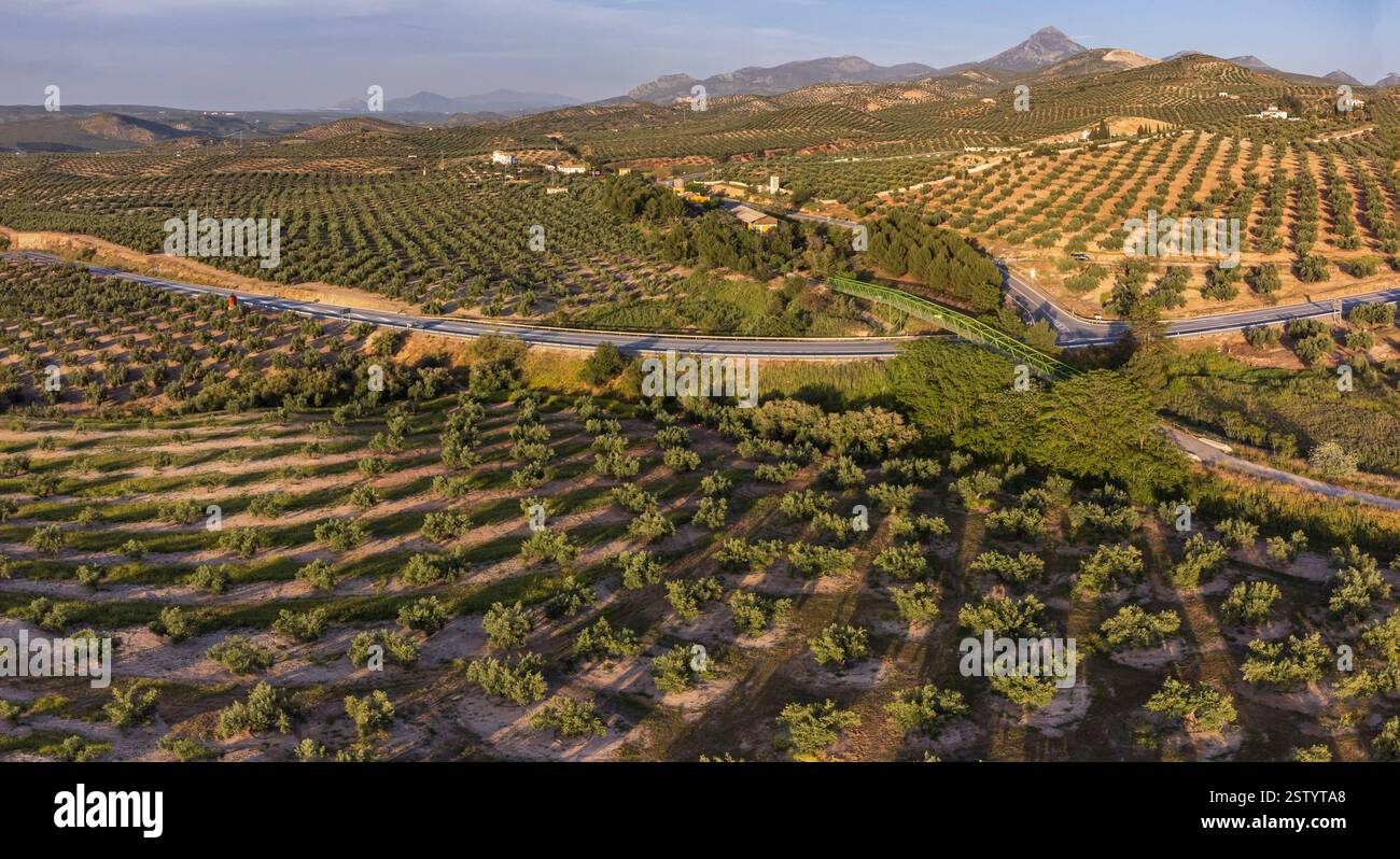 Olive bridge hi-res stock photography and images - Alamy