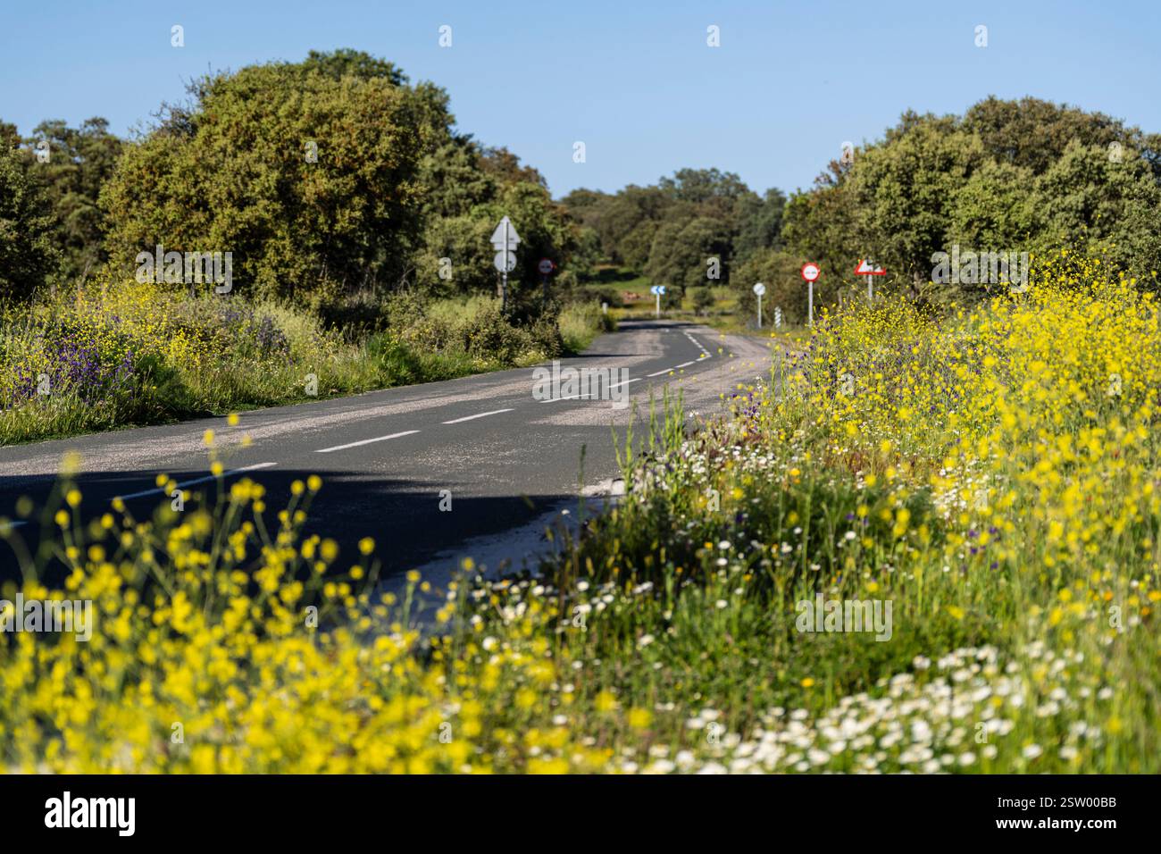 Rural awakening hi-res stock photography and images - Alamy