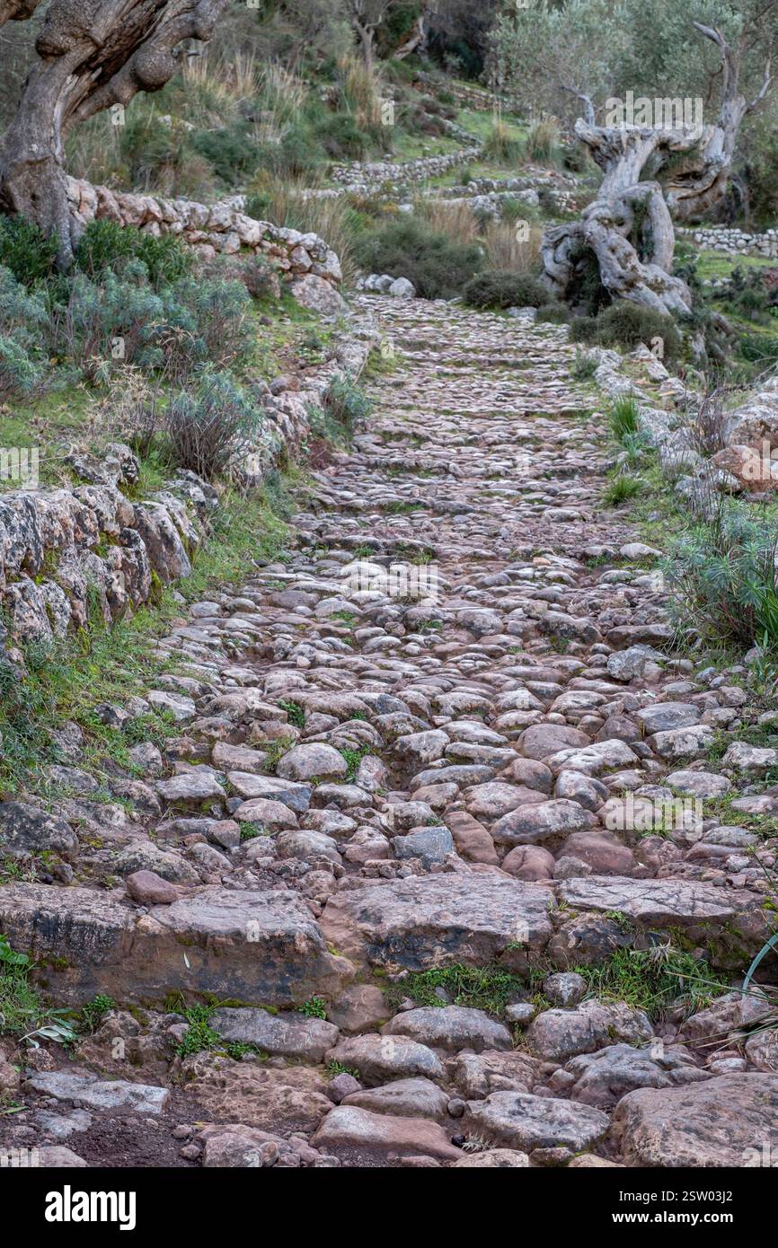 Traditional cobblestone road Stock Photo - Alamy