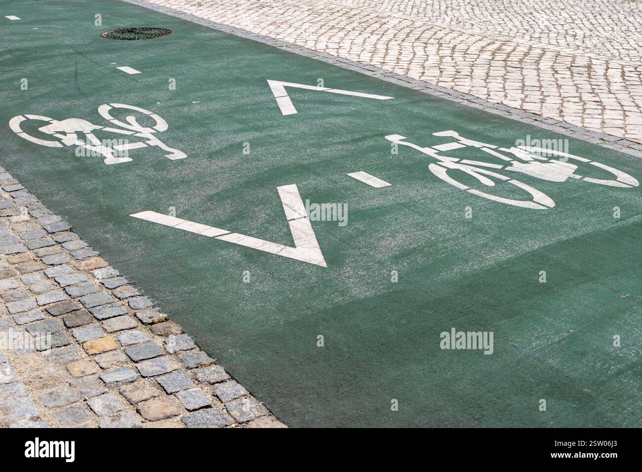 Green bike lane with white bicycle signs painted on asphalt surface ...