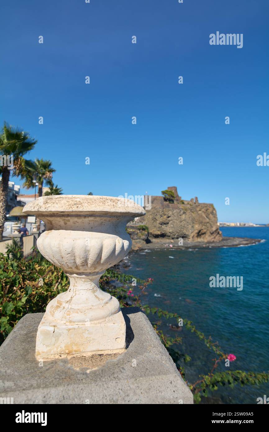 Rustic stone planter with a succulent, set against a backdrop of clear ...