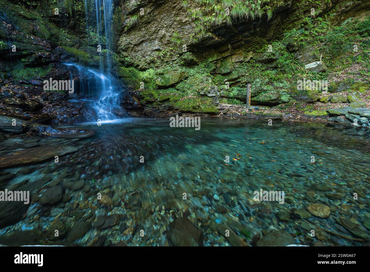 Kenzan quasion hi-res stock photography and images - Alamy