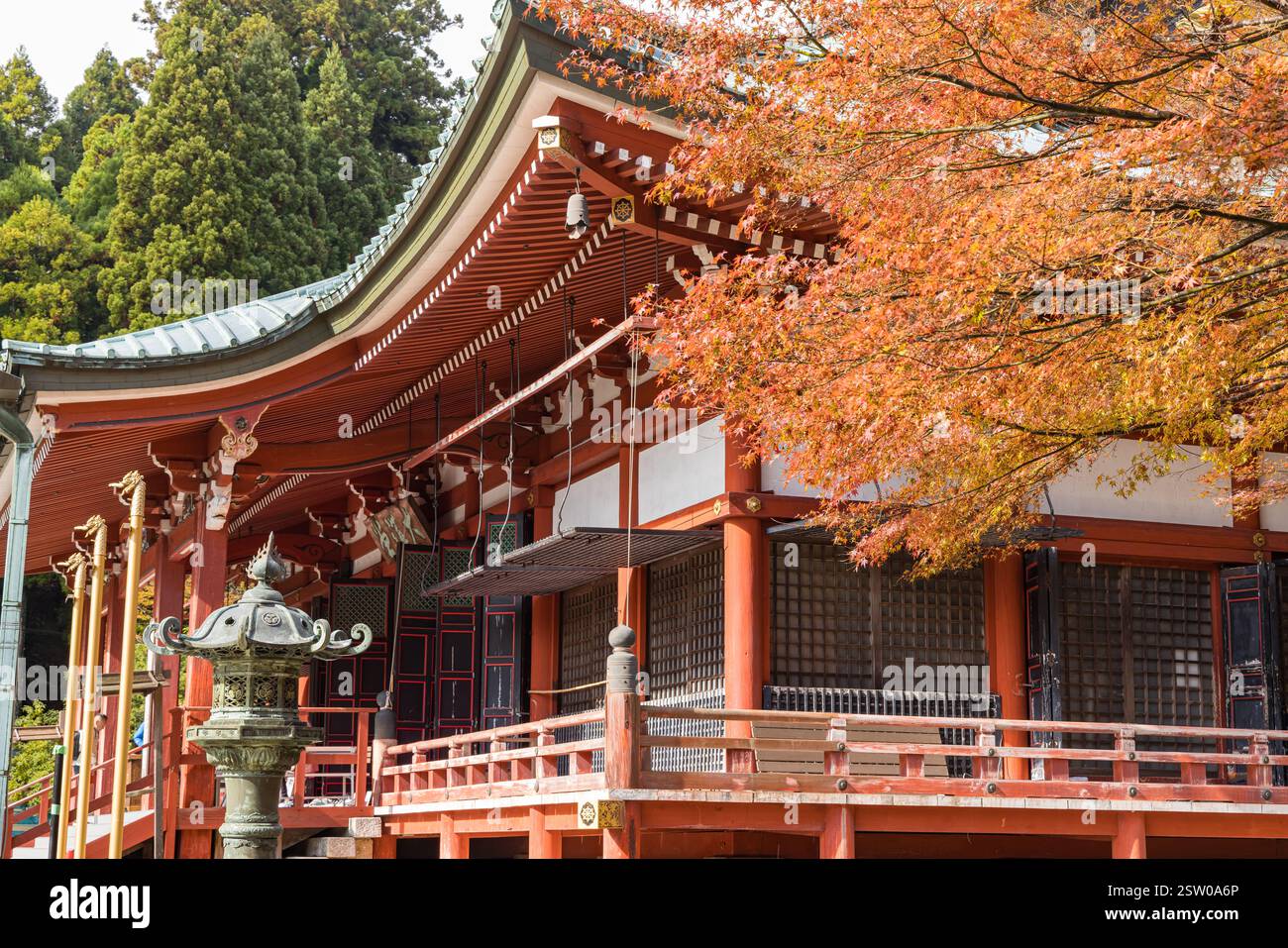 The large auditorium and autumn leaves of the east pagoda of Enryaku-ji ...