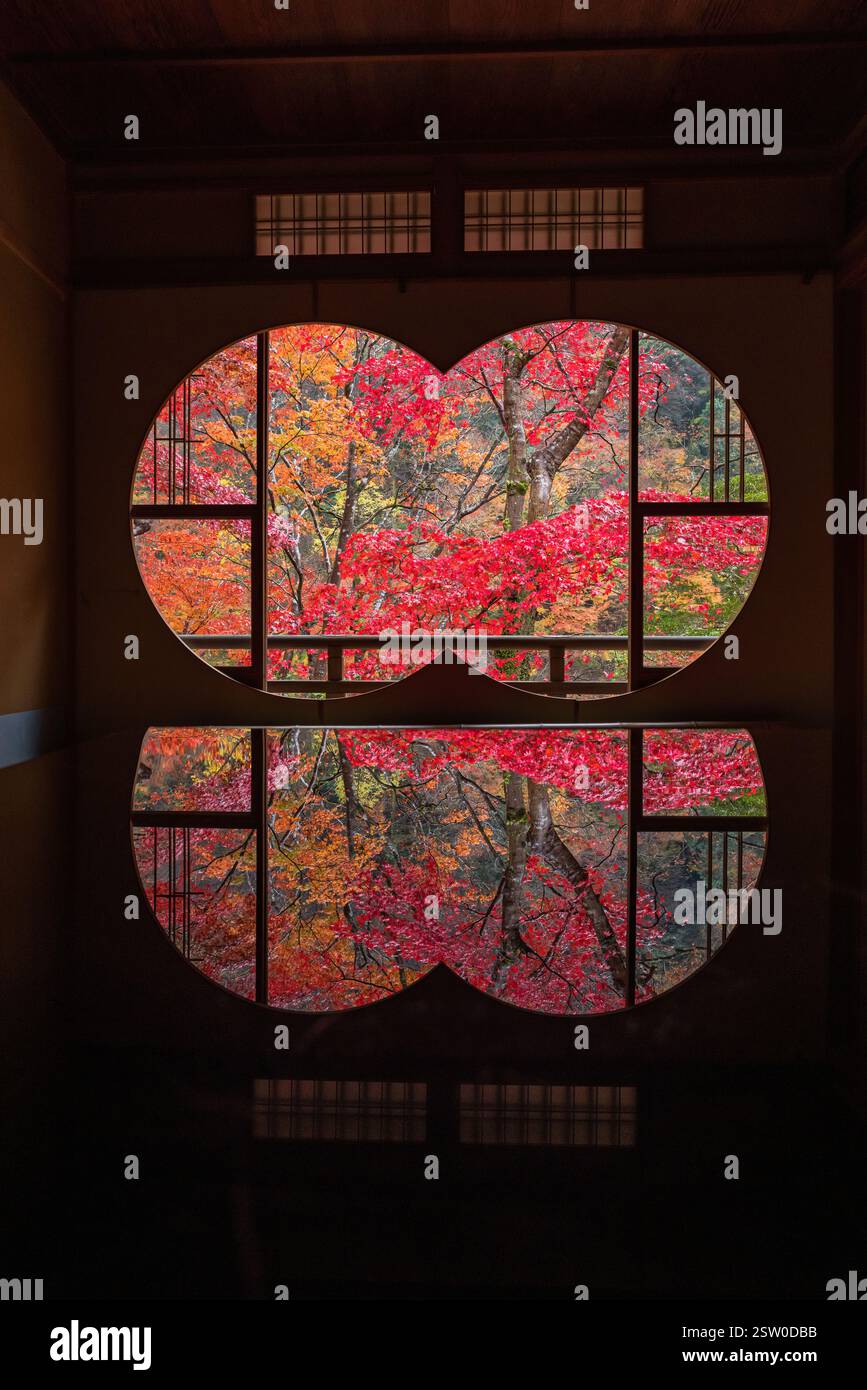 Autumn leaves wet by the rain reflected on the desk of the round window ...
