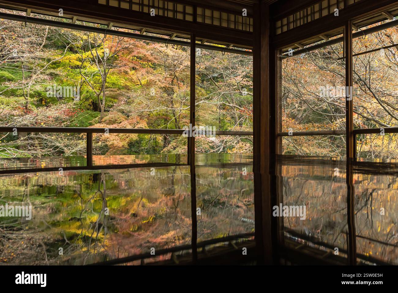 The autumn leaves in the Ruri garden reflected on the sutra copying ...