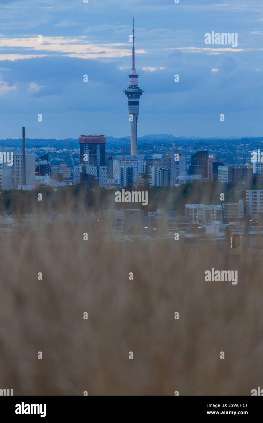 Sky Tower seen from Mount Hobson in Auckland, New Zealand Stock Photo ...