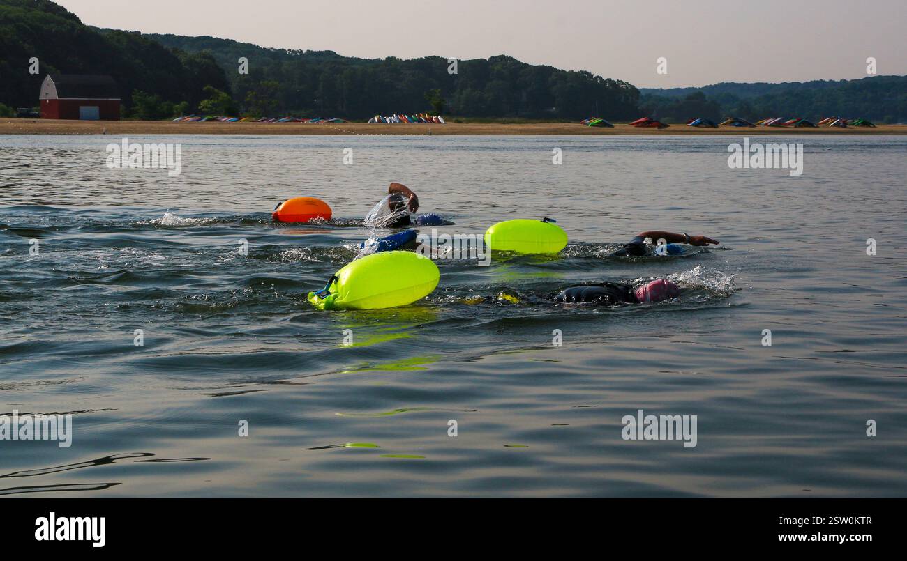 Groups of swimmers are training in a serene body of water, using buoyancy aids for safety during ...
