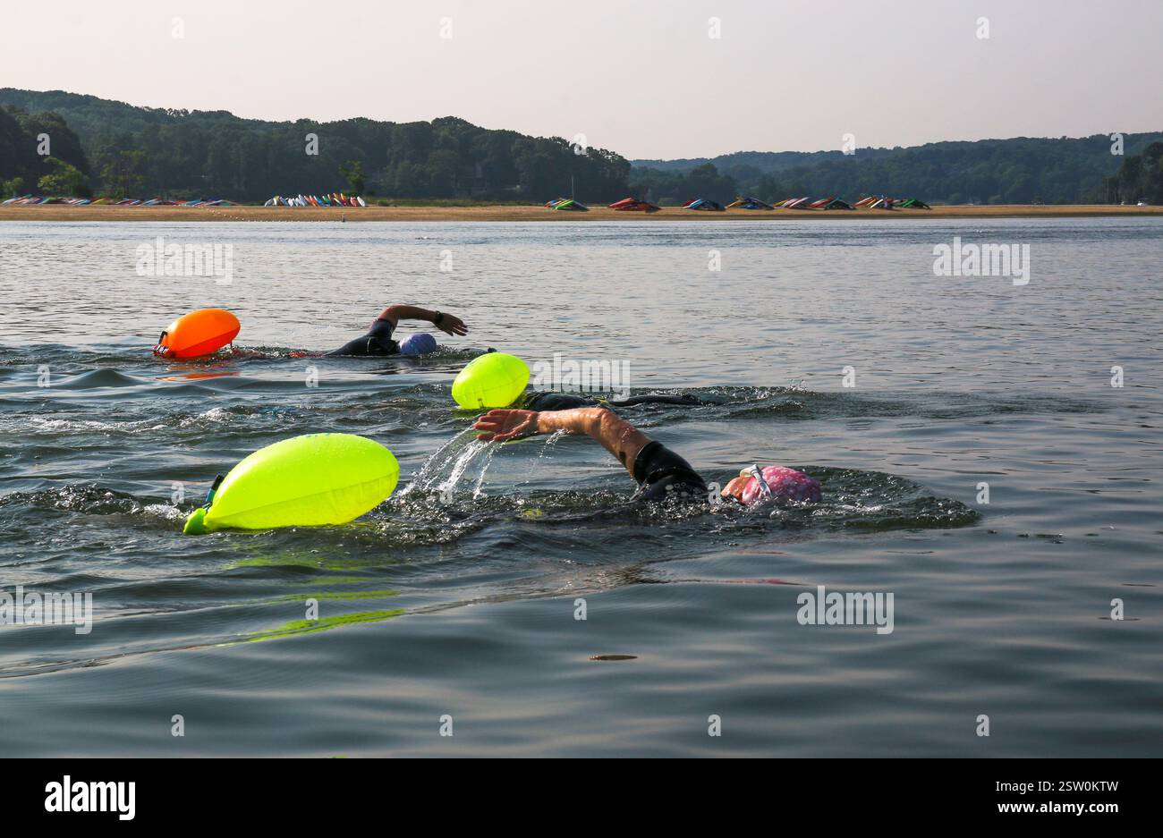 Swimminmg hi-res stock photography and images - Alamy