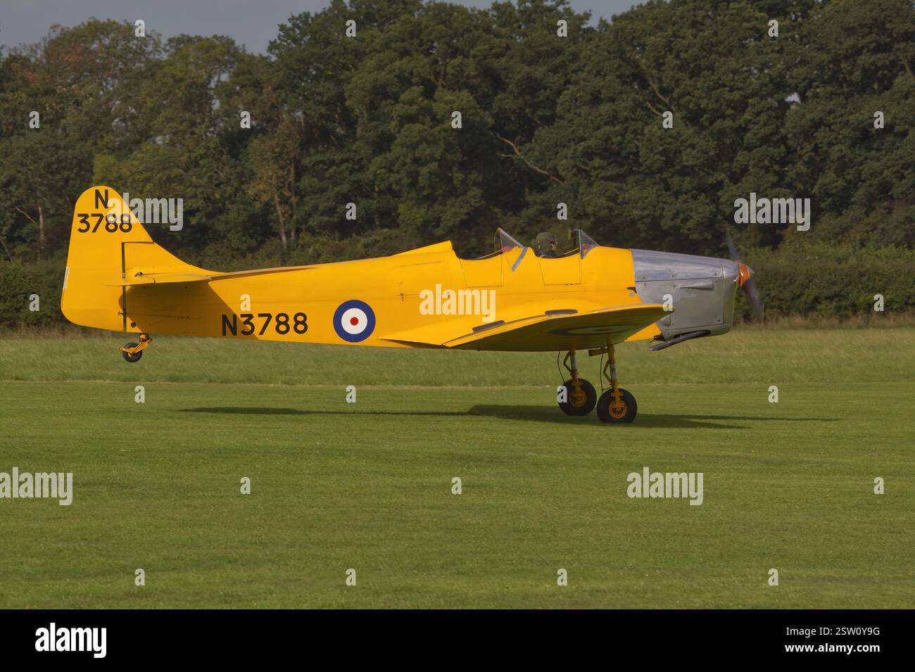 Miles hawk trainer hi-res stock photography and images - Alamy