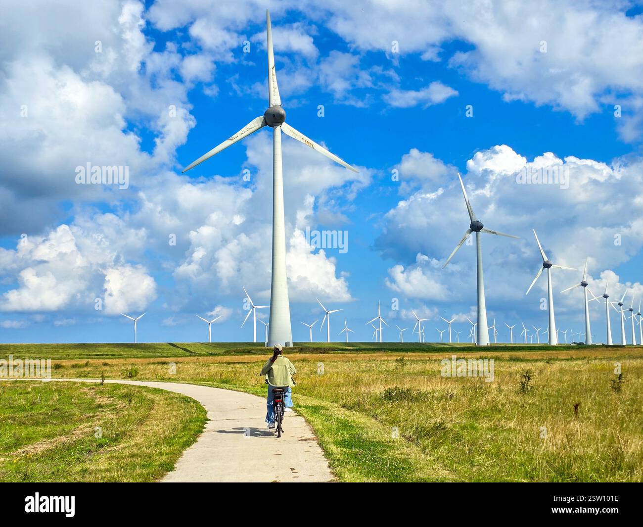 A cyclist enjoys a scenic journey alongside towering windmills ...