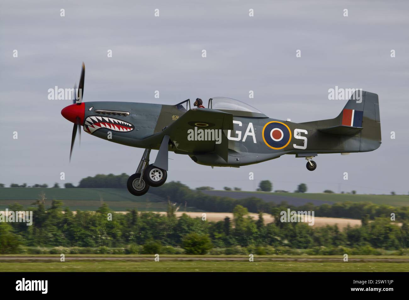 Royal Air Force P-51D Mustang, in flight but landing Stock Photo - Alamy