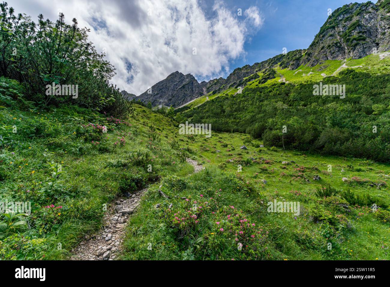 A scenic mountain trail in the Allgau region surrounded by lush ...