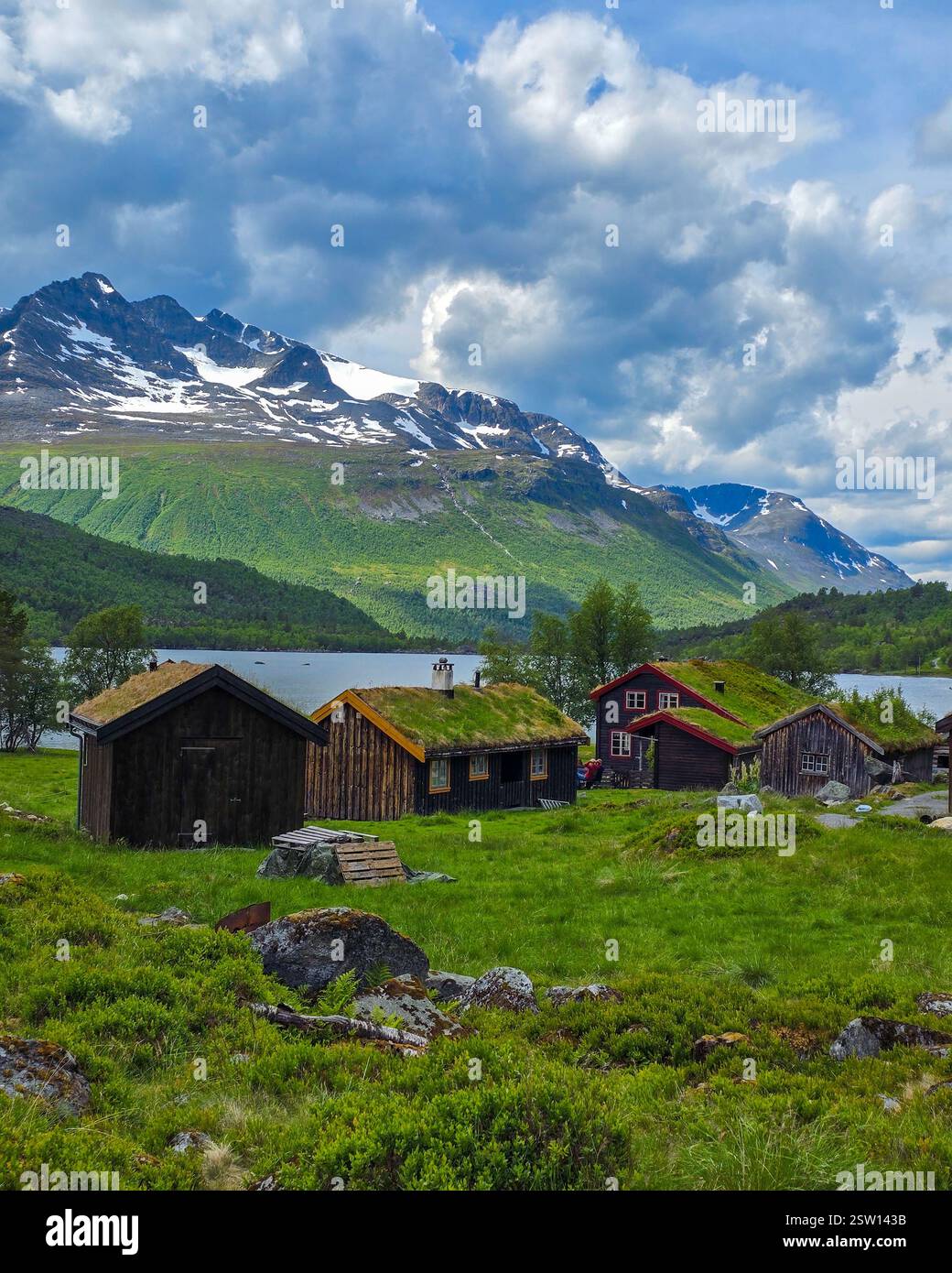 Rustic wooden cabins with mossy roofs blend harmoniously into the ...